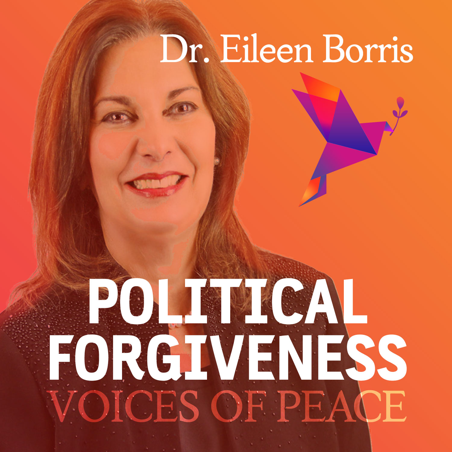 Political Forgiveness: Voices of Peace, Season 1 Trailer – Dr. Eileen Borris